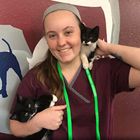 Meet Our Veterinary Staff at Deason Animal Hospital